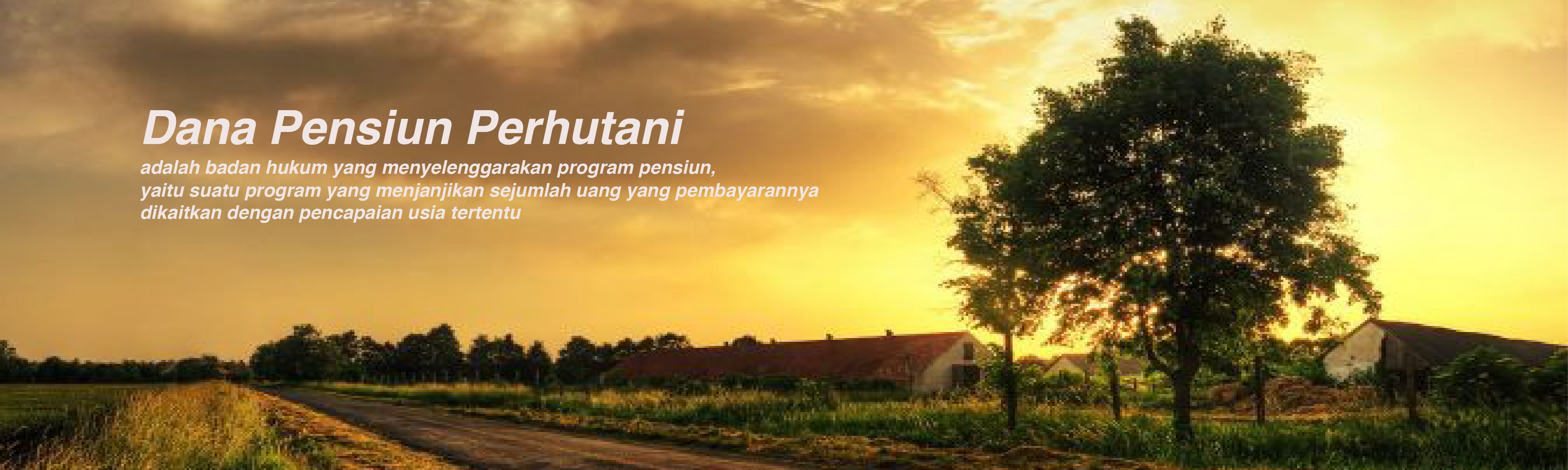 Dapen Perhutani | Home